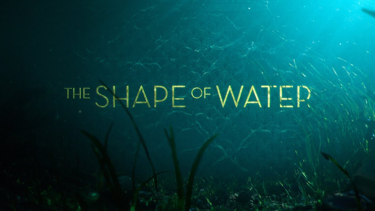 The Shape of Water - Theme | Book Light Editorial